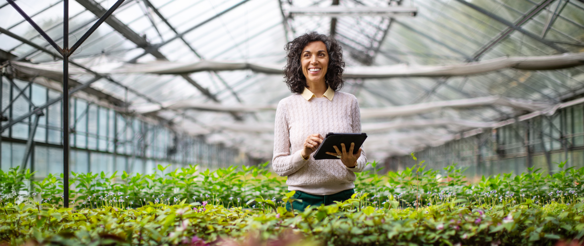 Careers at Green Futures Solutions